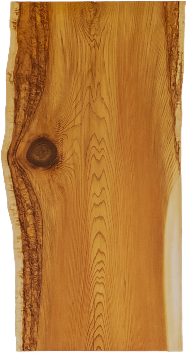 杉（スギ）一枚板天板／1470mm 【A8622】 | 【公式】一枚板専門店の近藤工芸