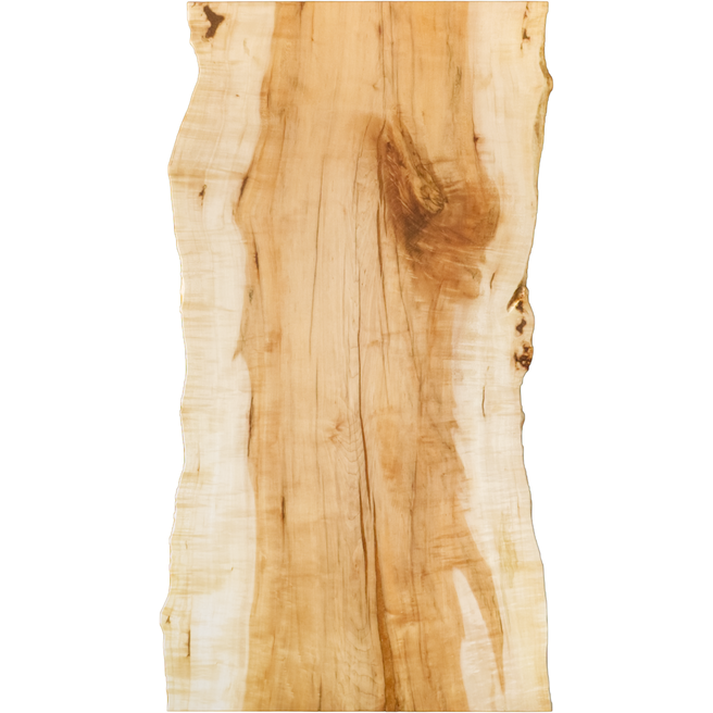 楓（カエデ）一枚板天板／1670mm 【A7906】 | 【一枚板テーブル・無垢材家具の専門店の近藤工芸】